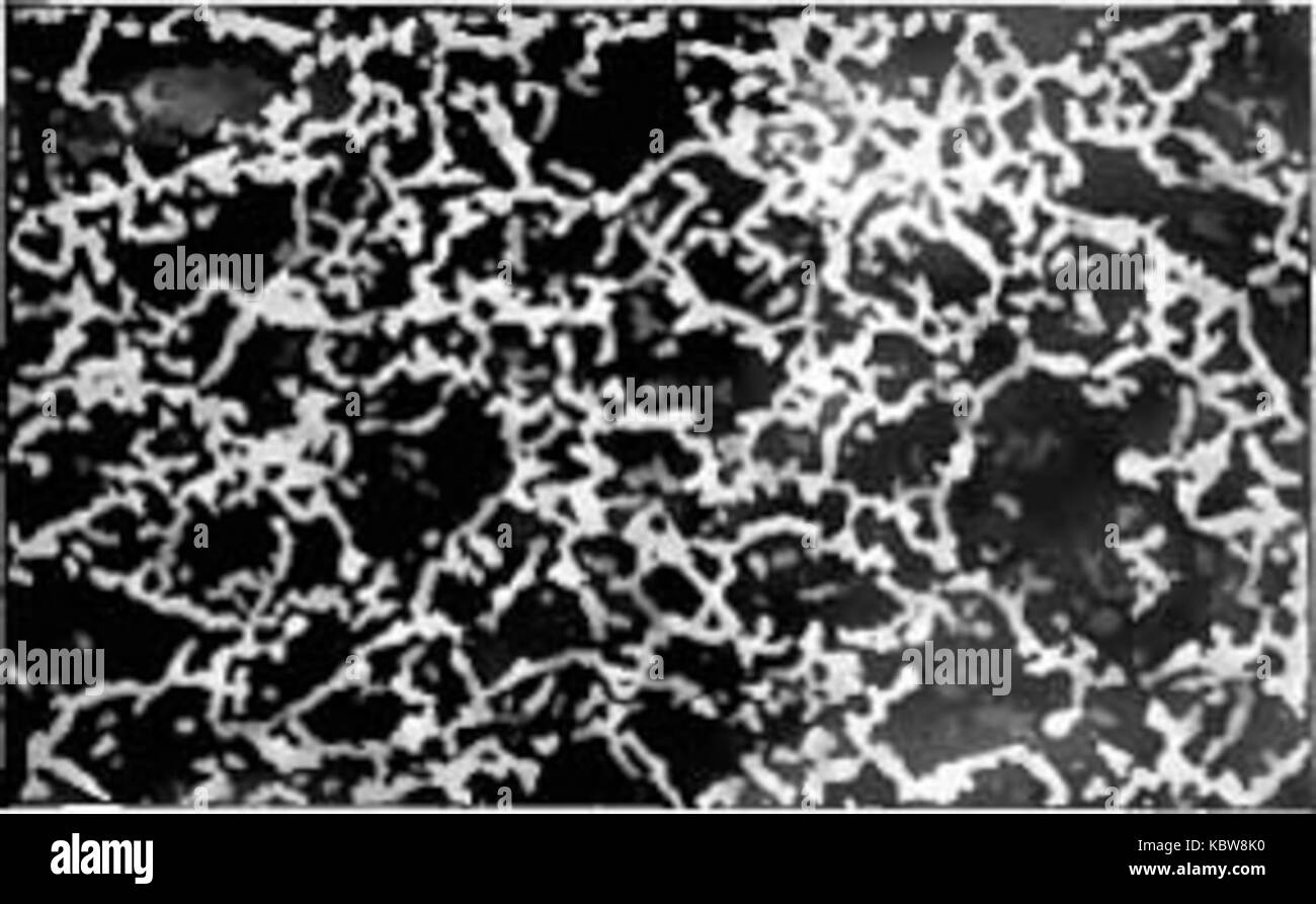 Britannica Alloys Plate Figure 10 Stock Photo - Alamy