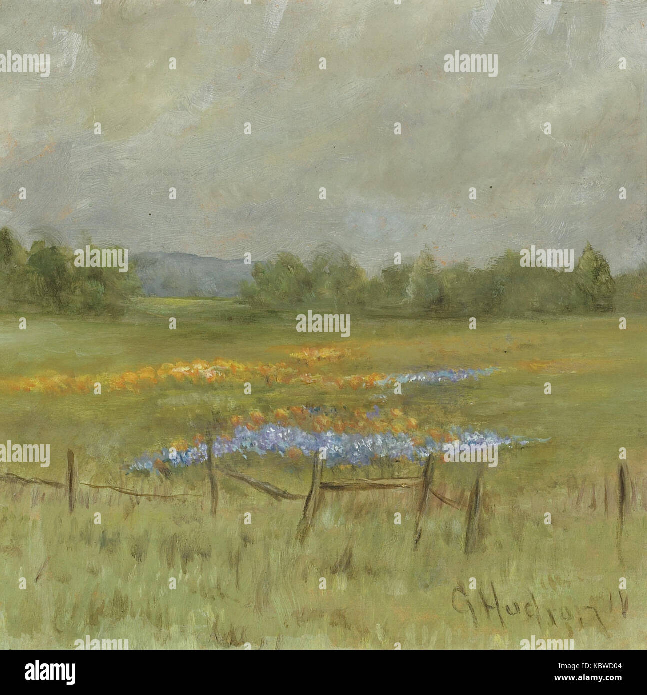 Grace Carpenter Hudson Poppy Scene in Potter Valley Stock Photo - Alamy