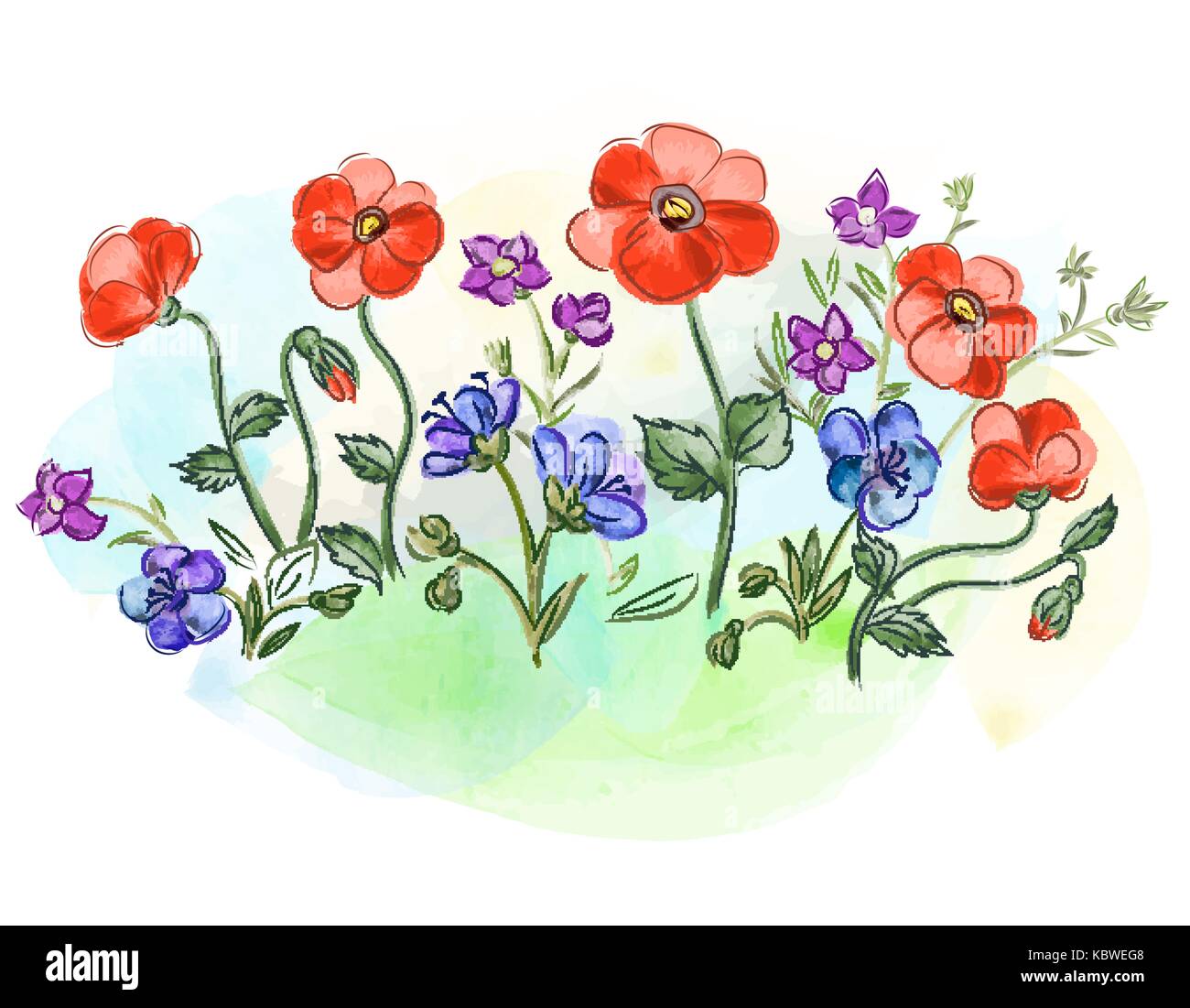 Vector illustration of watercolor flowers violets and pansy and leaves ...