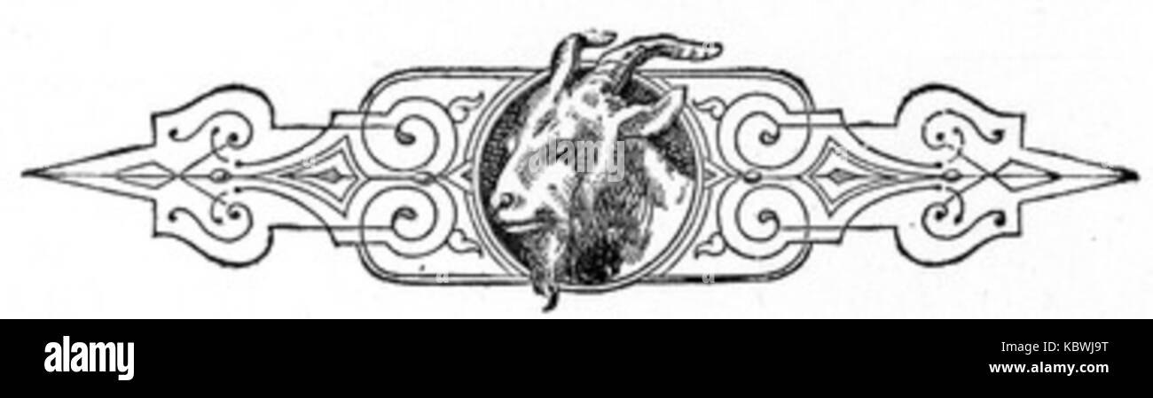 Portrait of a Goat Border Stock Photo - Alamy