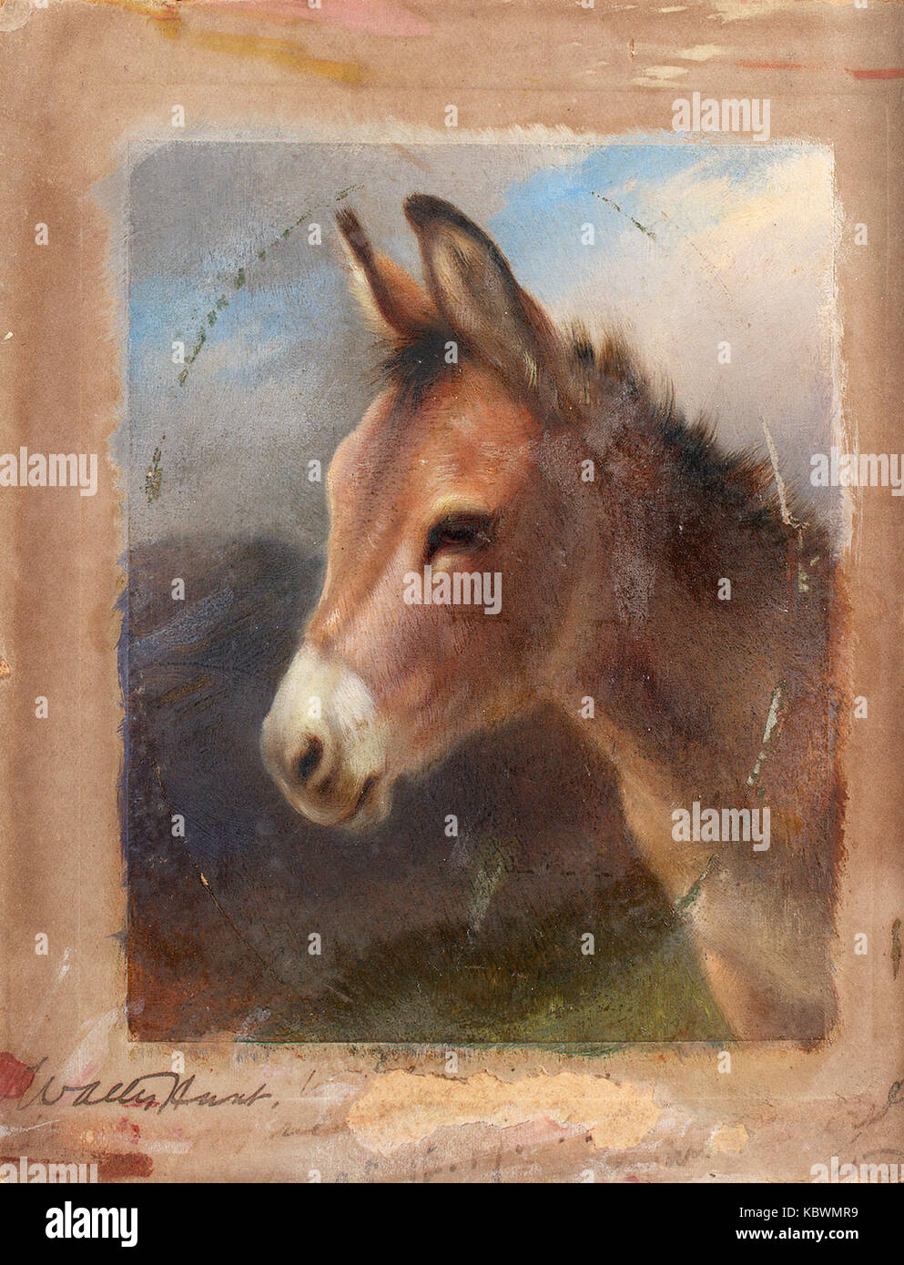 Donkey head hi-res stock photography and images - Alamy