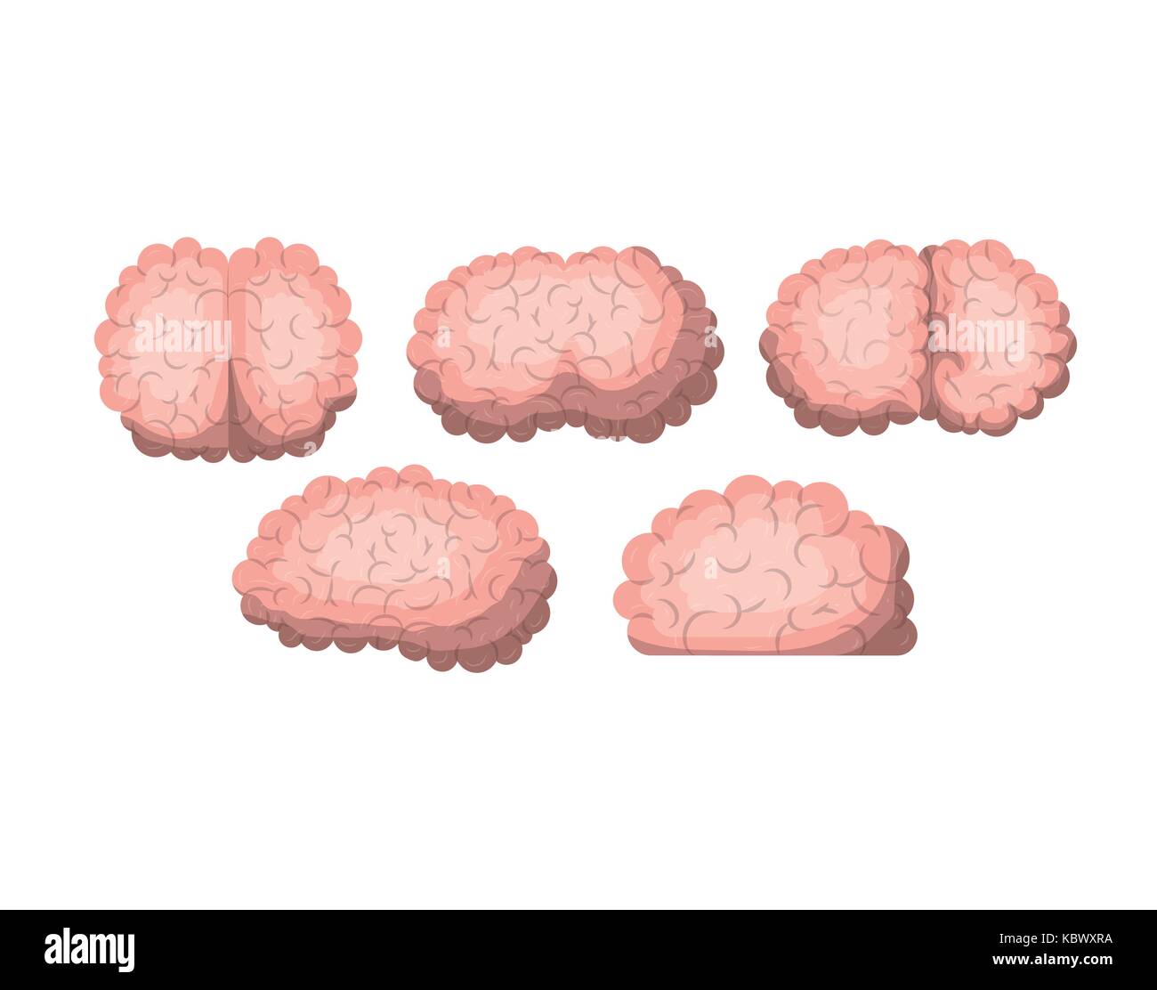brain colorful silhouettes several views Stock Vector Image & Art - Alamy