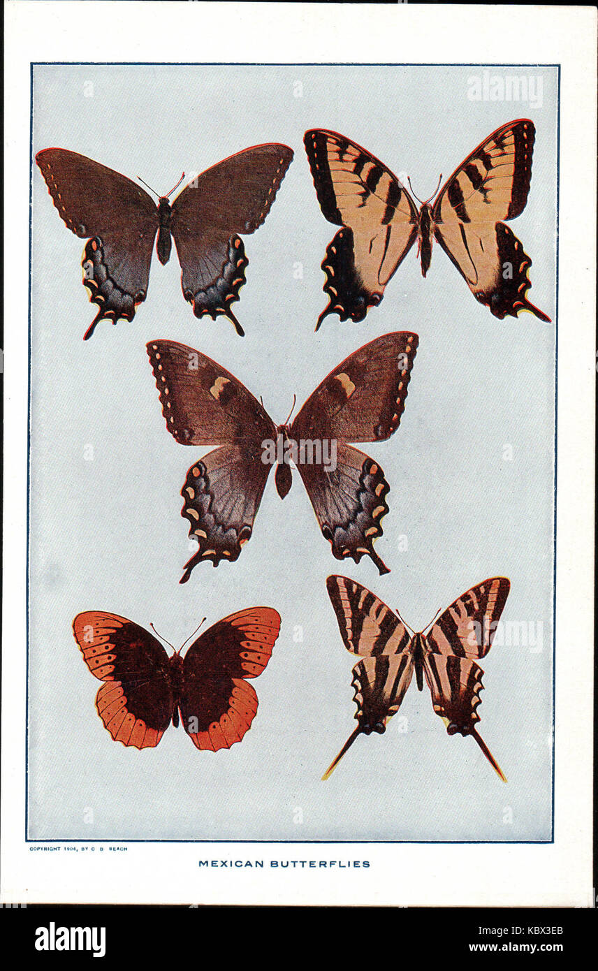 LA2 NSRW 1 0350 Stock Photo - Alamy