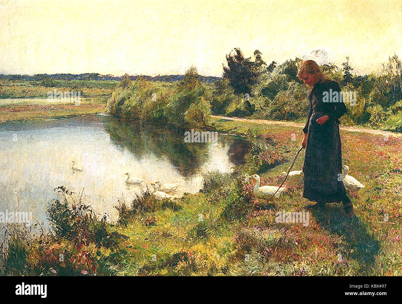 Campine hi-res stock photography and images - Alamy