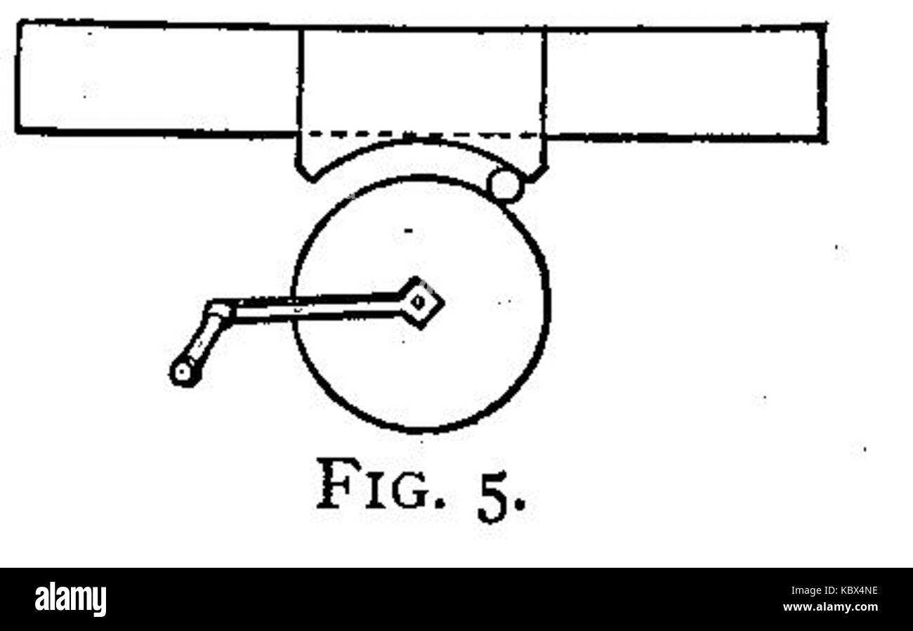 Fig plant in garden Black and White Stock Photos & Images - Alamy