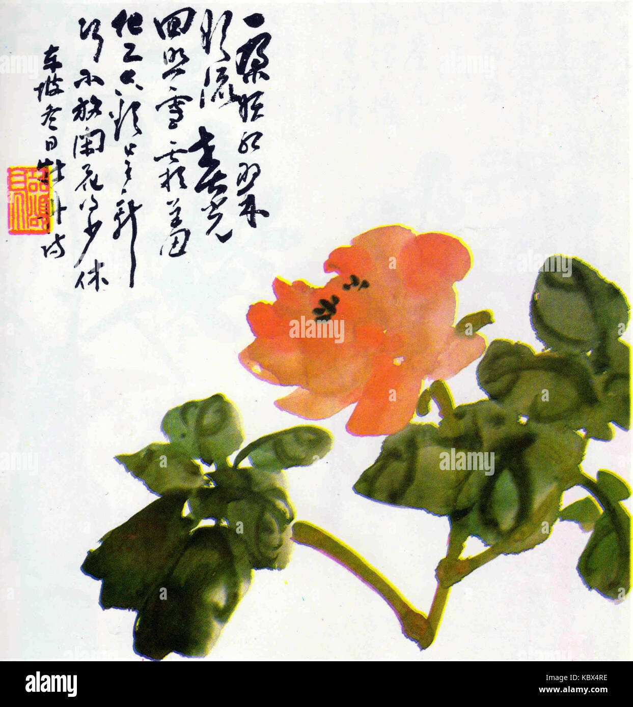 Mudan hi-res stock photography and images - Alamy