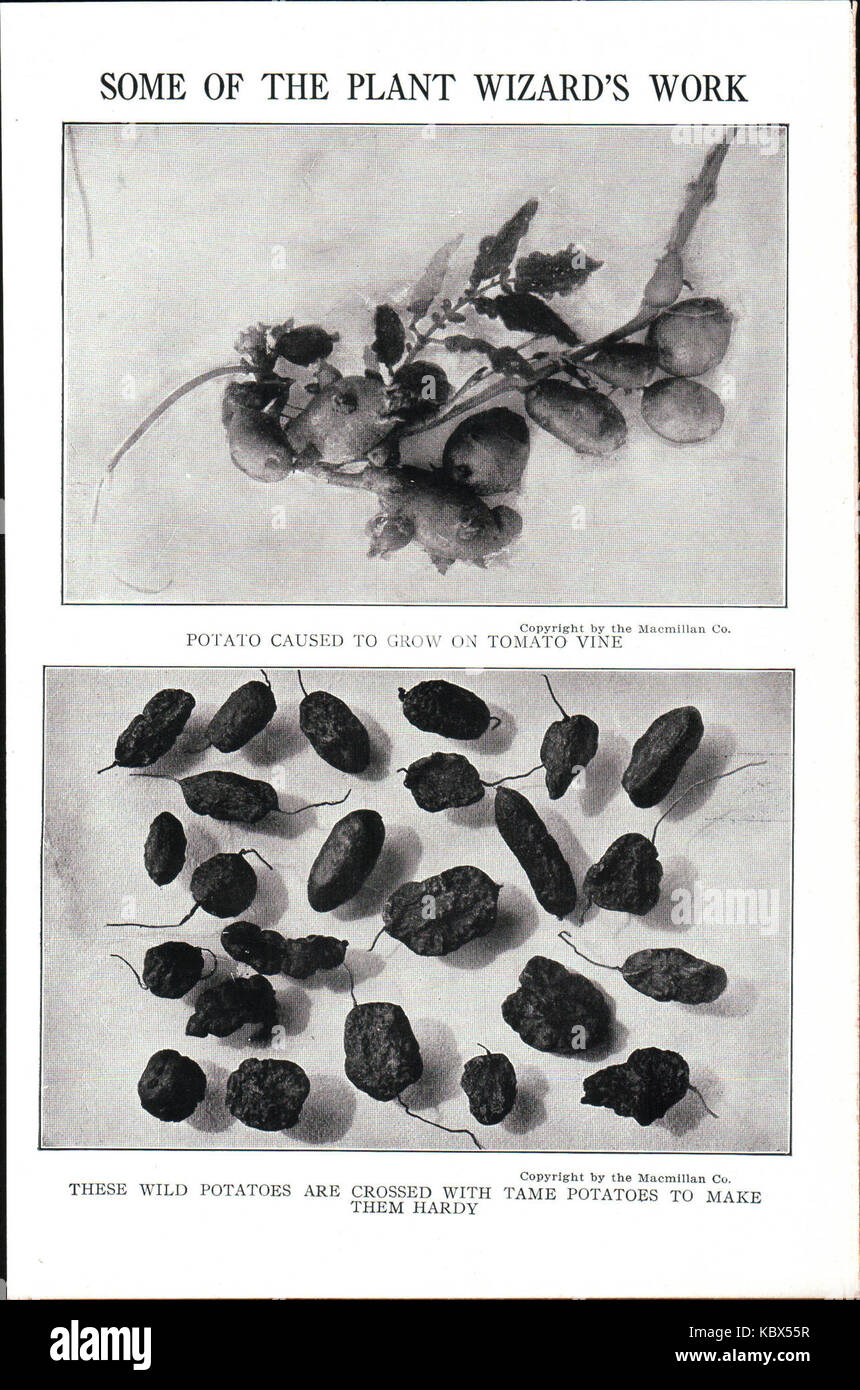 LA2 NSRW 1 0342 Stock Photo - Alamy