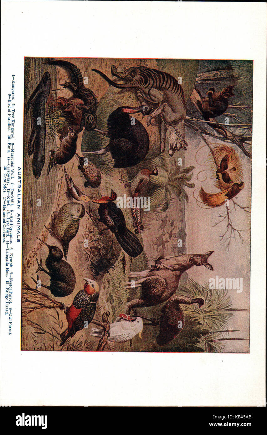 LA2 NSRW 1 0182 Stock Photo - Alamy