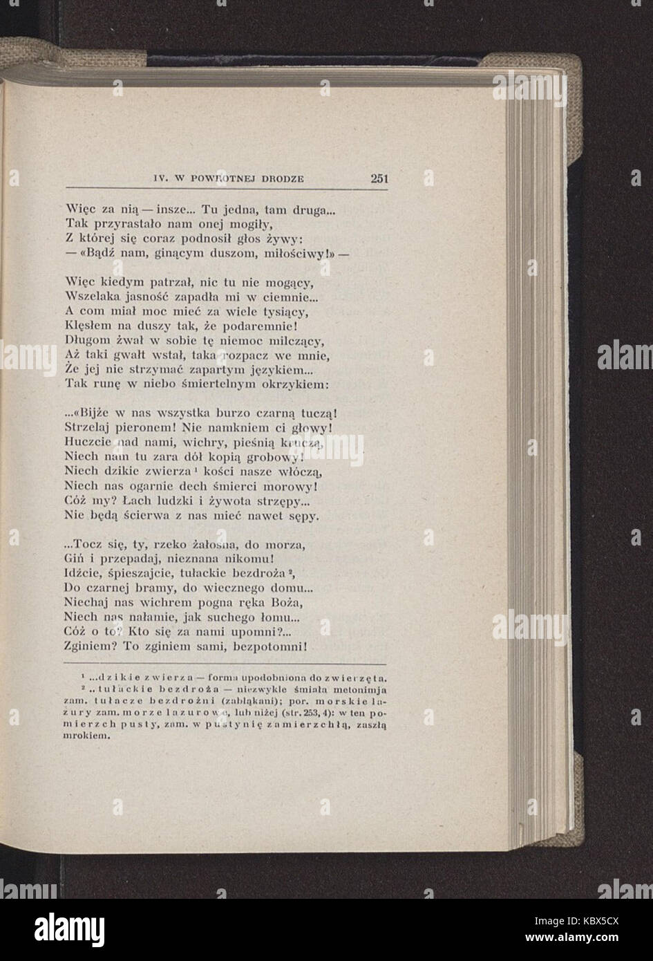 This book is a collection of poems by Maria Konopnicka, a renowned ...