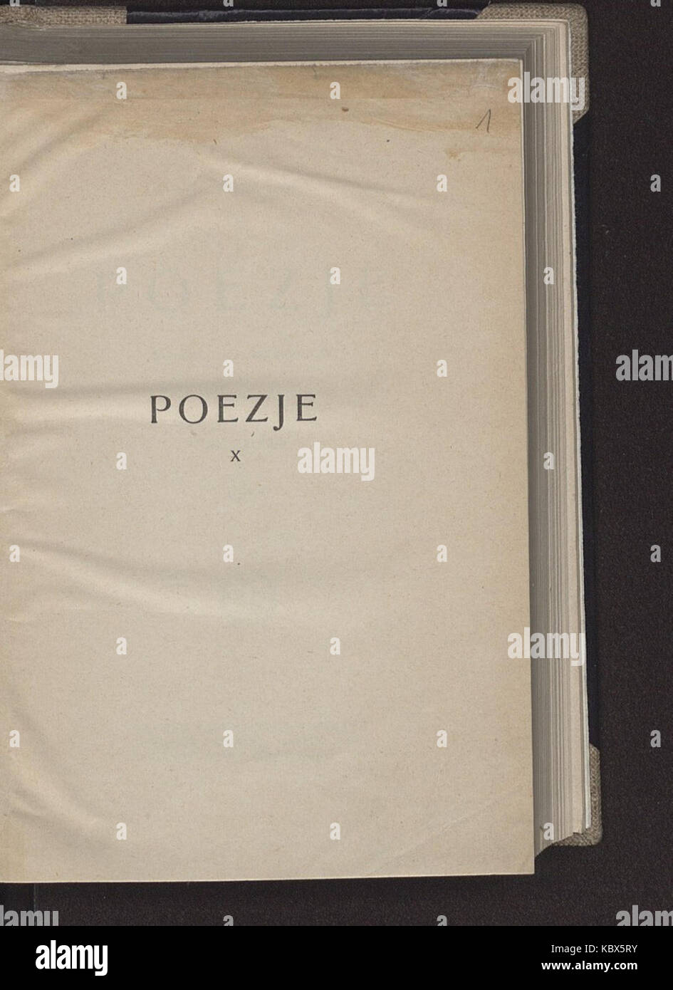 PL Maria Konopnicka's 'Poezye T. 10' is a collection of her poems ...