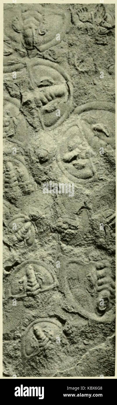 60082 hi-res stock photography and images - Alamy