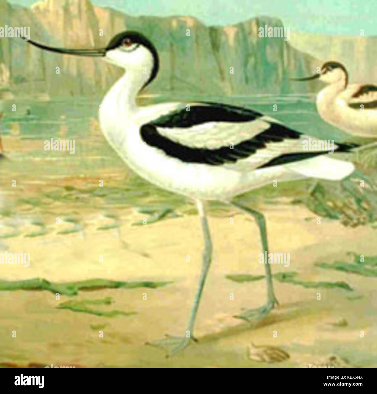 Ryc hi-res stock photography and images - Alamy