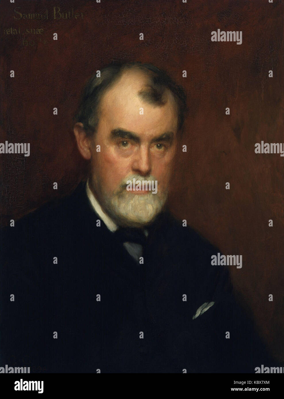Samuel Butler by Charles Gogin Stock Photo - Alamy