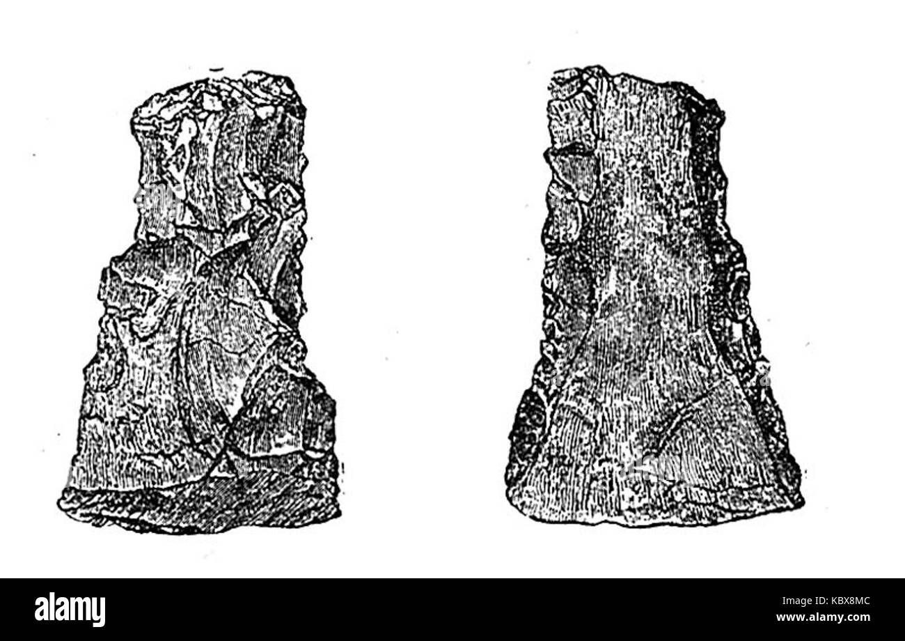 Study danish Cut Out Stock Images & Pictures - Alamy