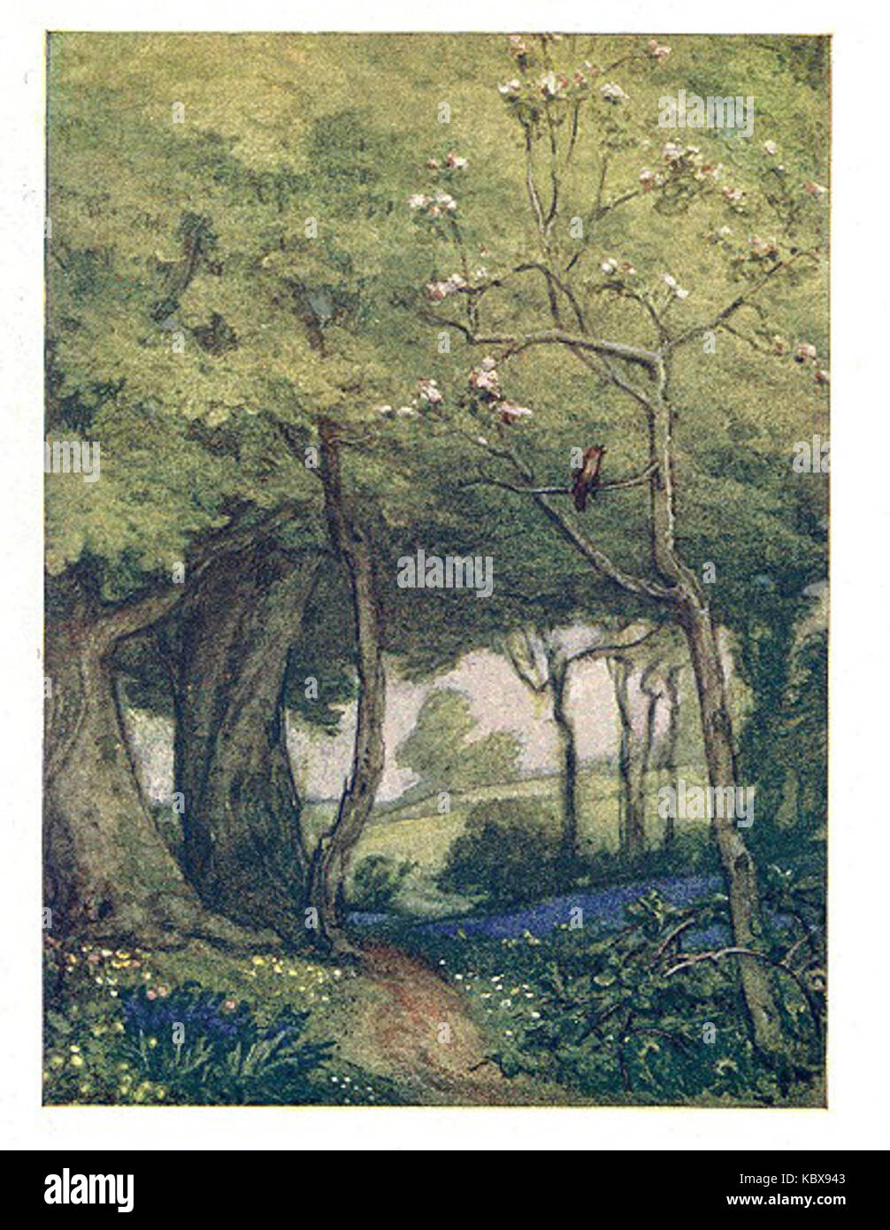 Forest path walking Cut Out Stock Images & Pictures - Alamy