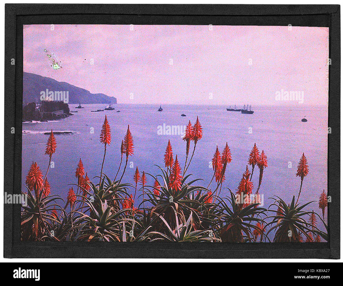 Sarah angelina hi-res stock photography and images - Alamy