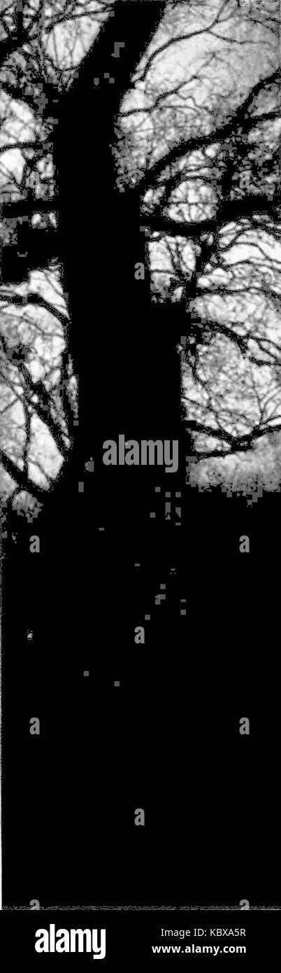 A dead child Black and White Stock Photos & Images - Alamy