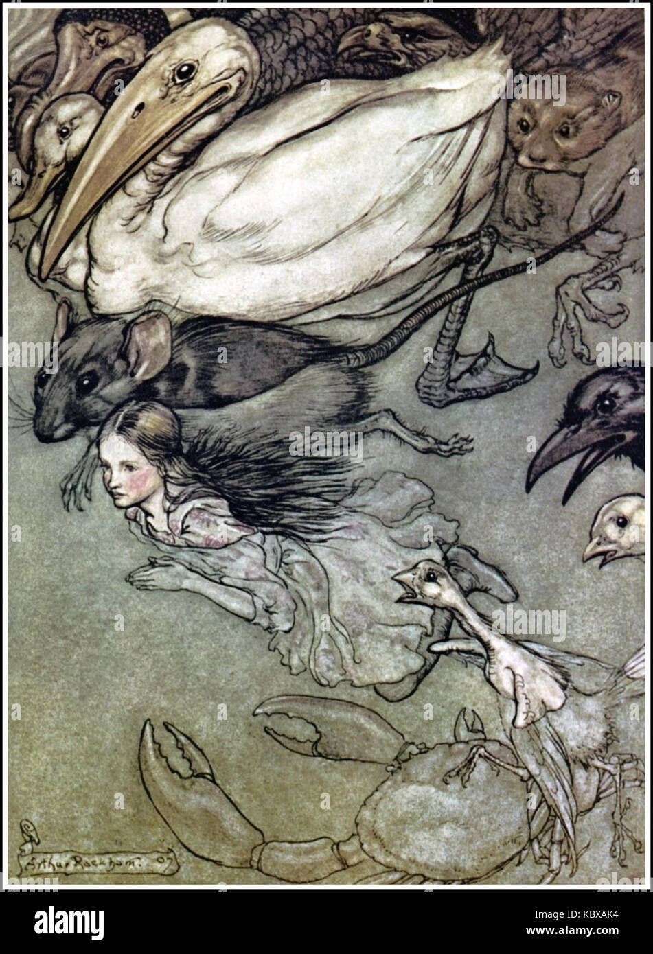 Alice in Wonderland by Arthur Rackham 02 The Pool of Tears Stock Photo ...