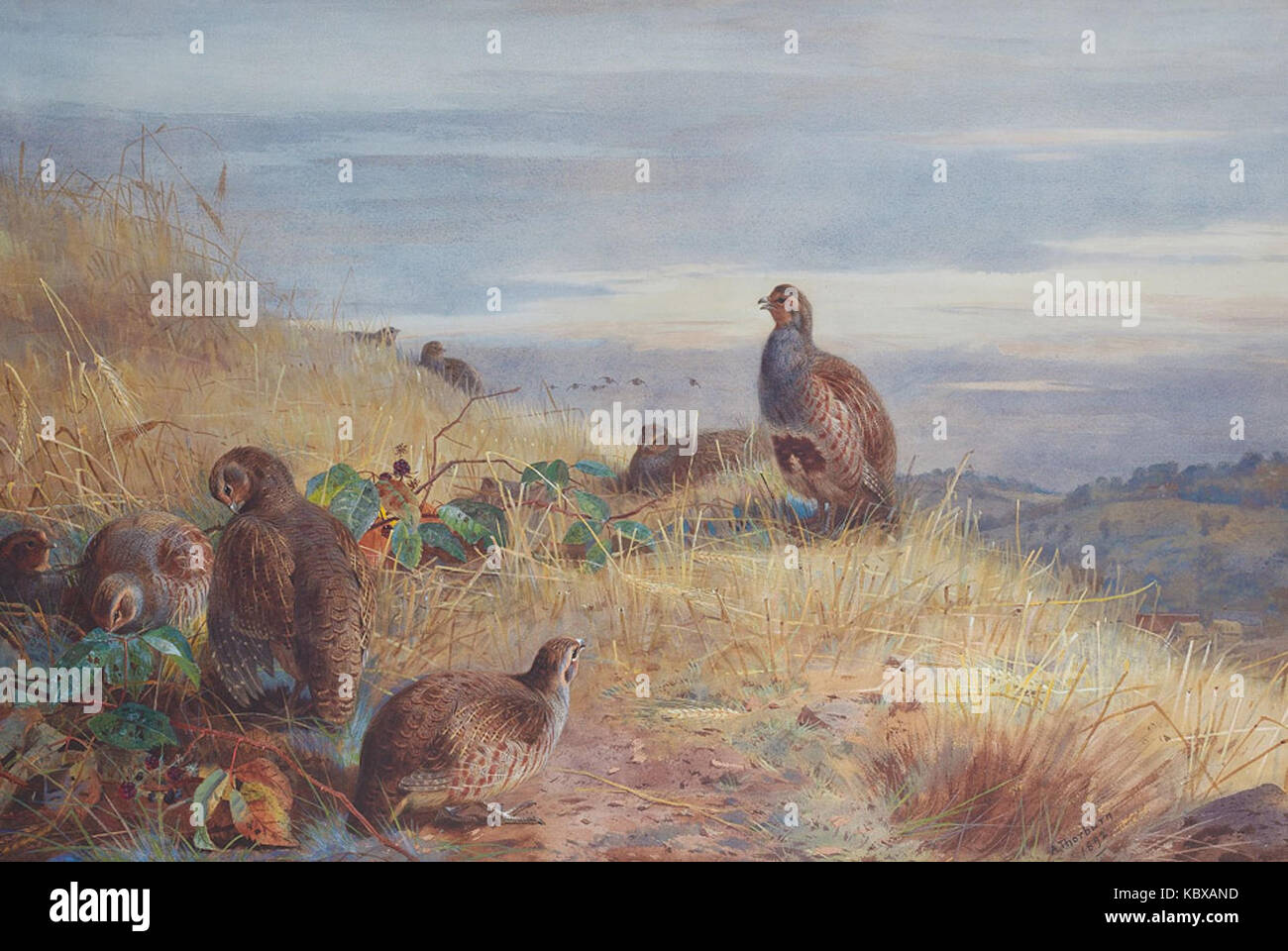 Archibald thorburn painting hi-res stock photography and images - Alamy