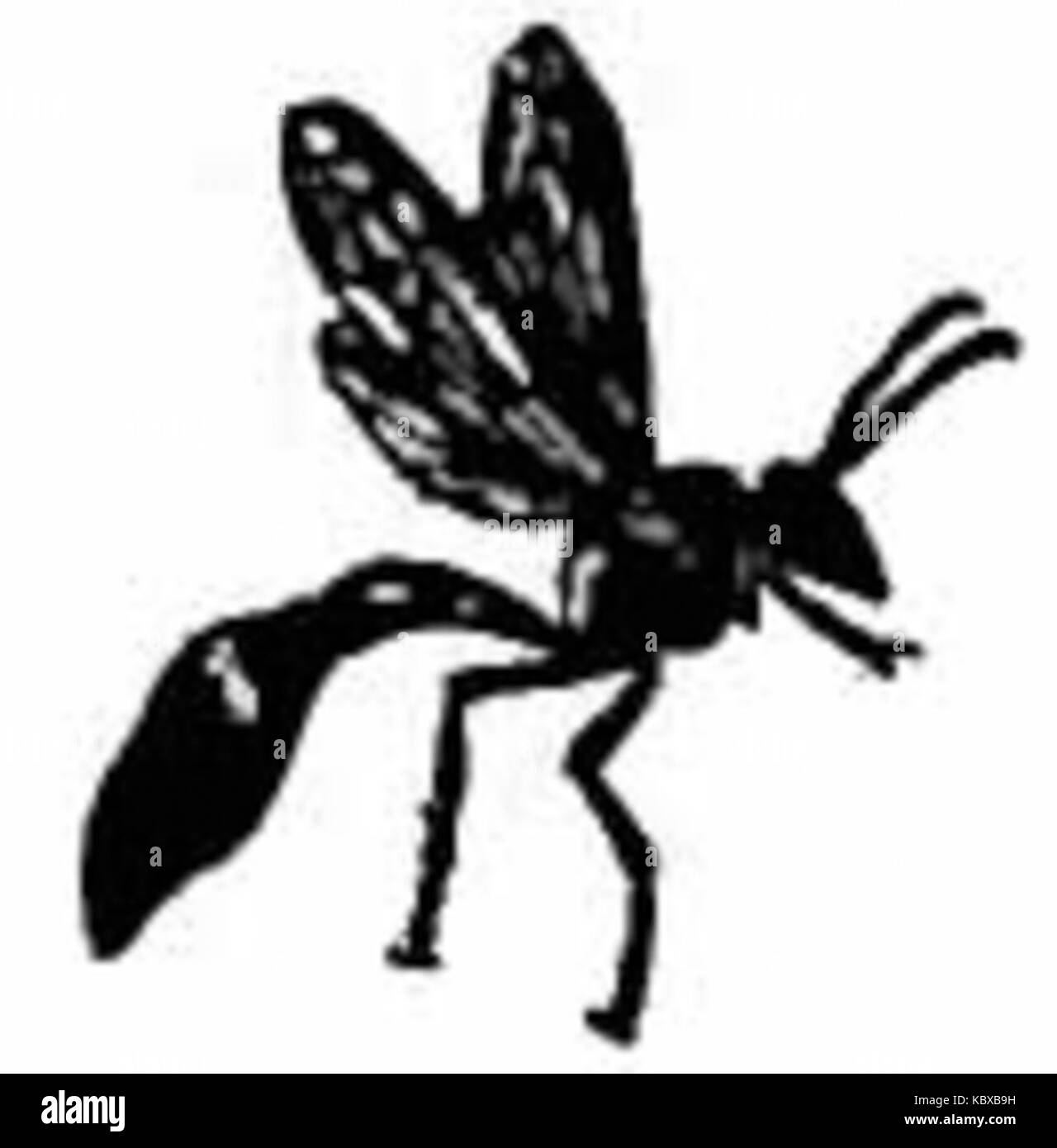 The Britannica Wasp 47 is a specific model of the Wasp aircraft, known ...