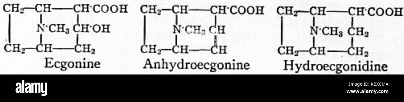 Ecgonine hi-res stock photography and images - Alamy