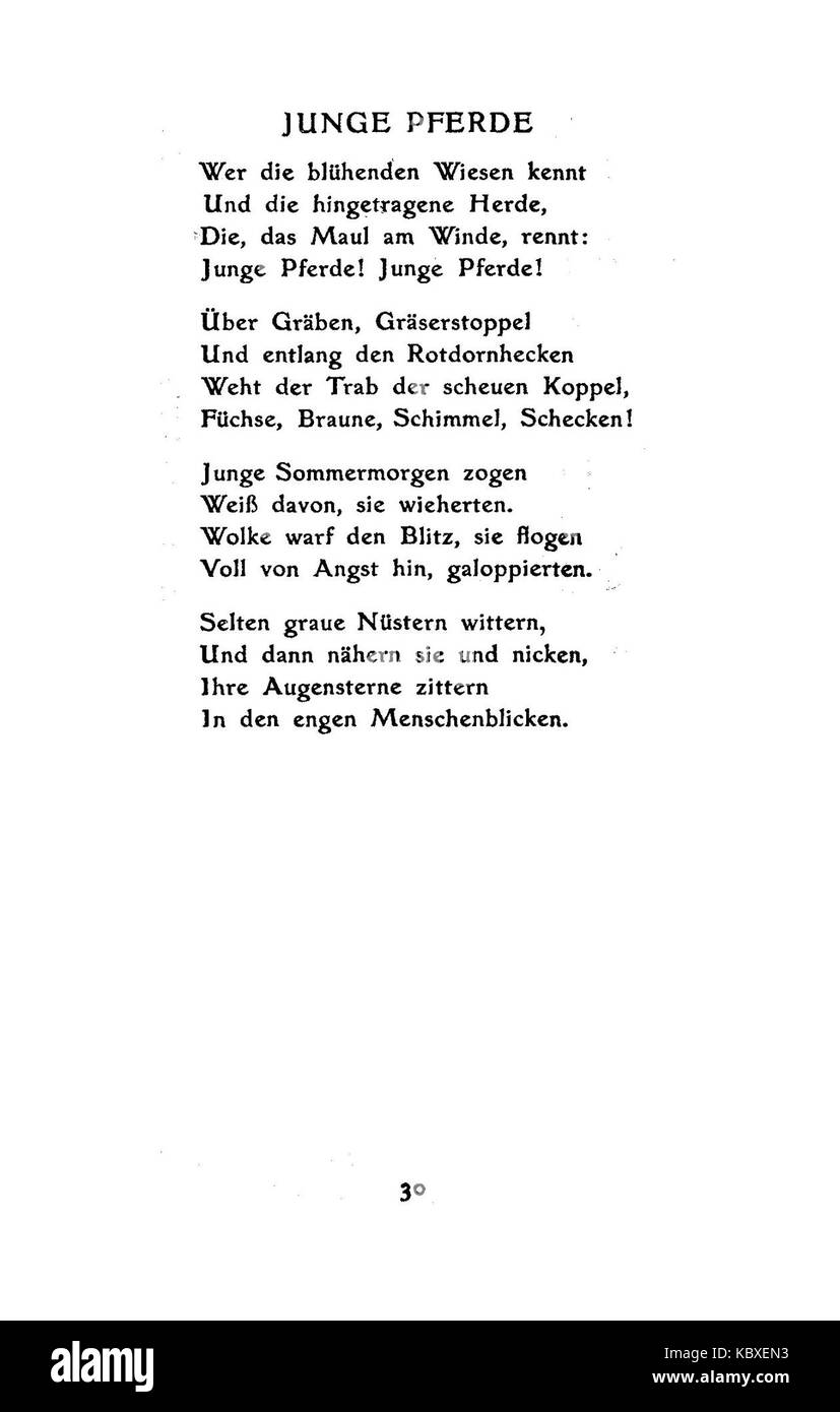 Pferde Black and White Stock Photos & Images - Alamy