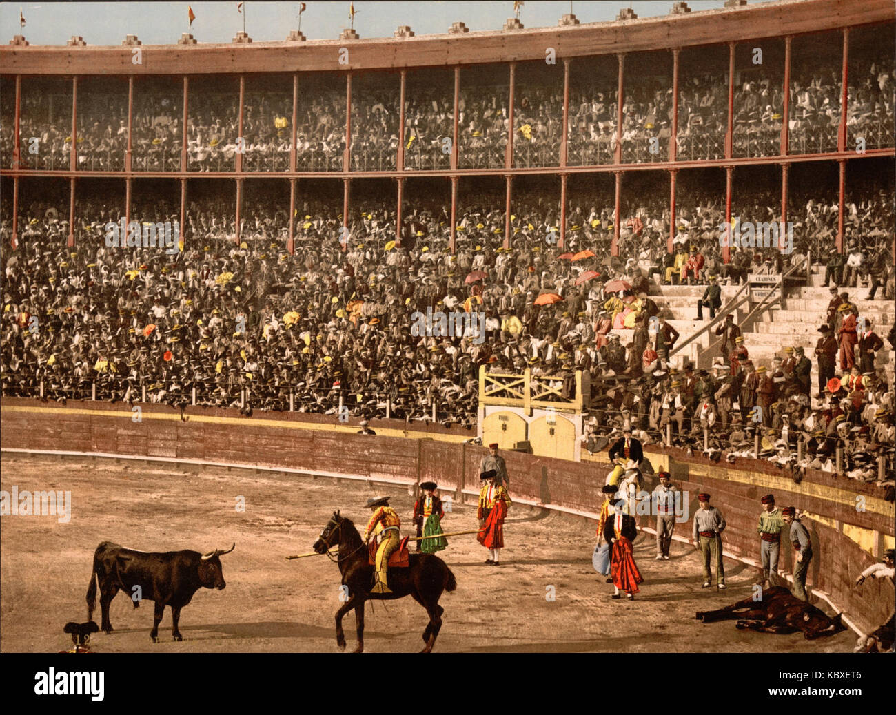 A bull fight, Barcelona, Spain LCCN2001699358 Stock Photo - Alamy