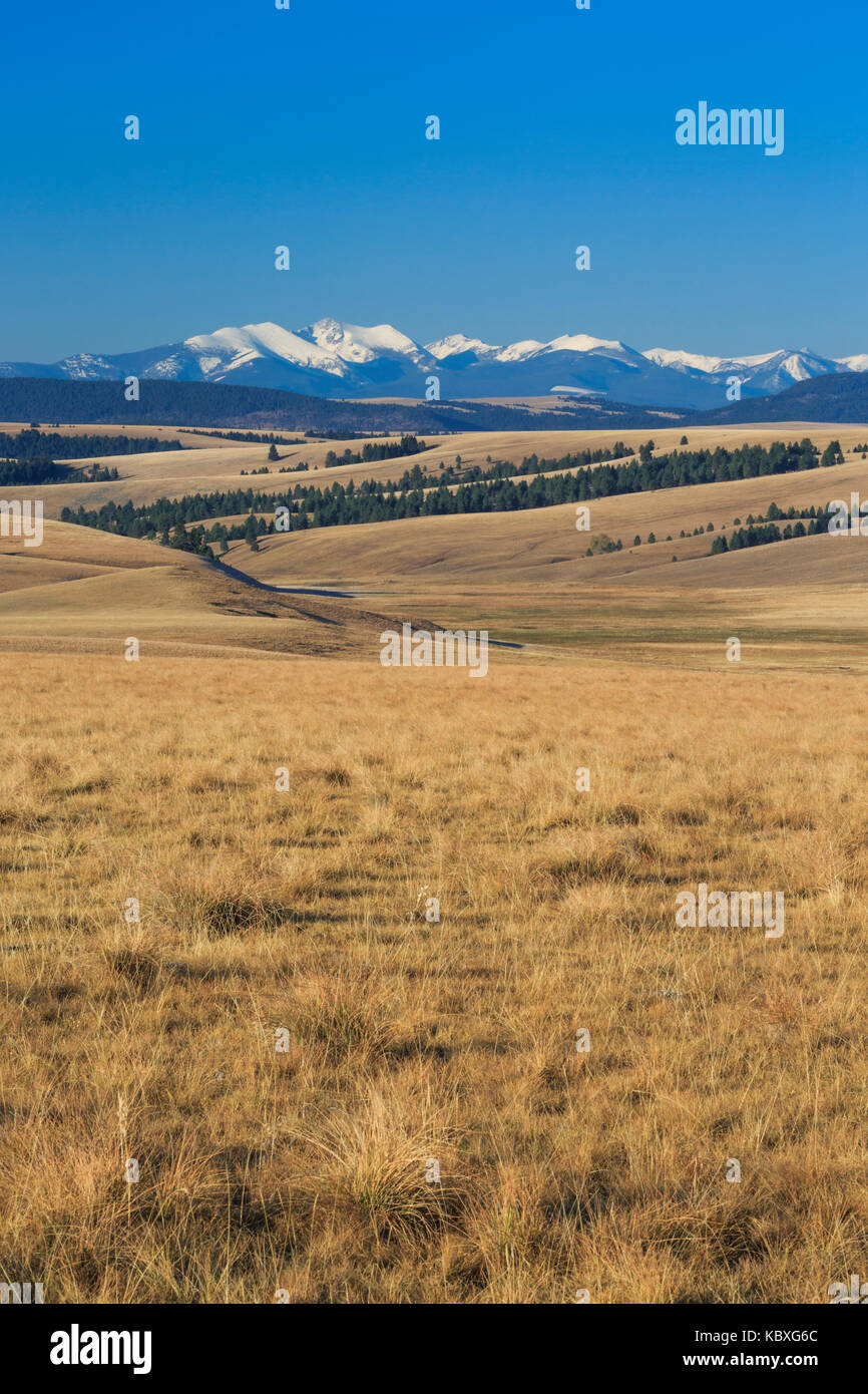 flint creek range and meadows in the snowshoe creek basin near avon ...