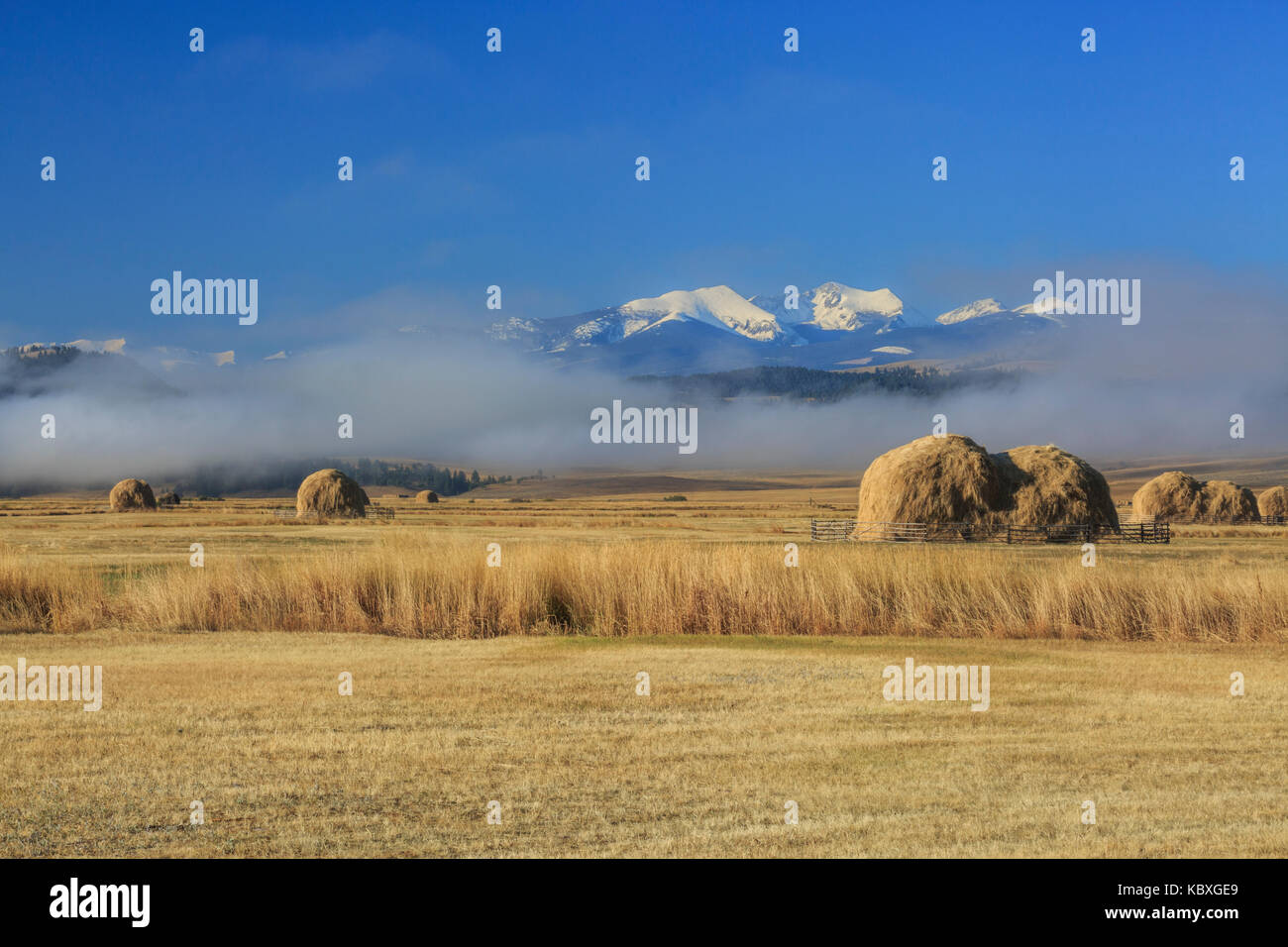 haystacks and morning fog below peaks of the flint creek range near ...