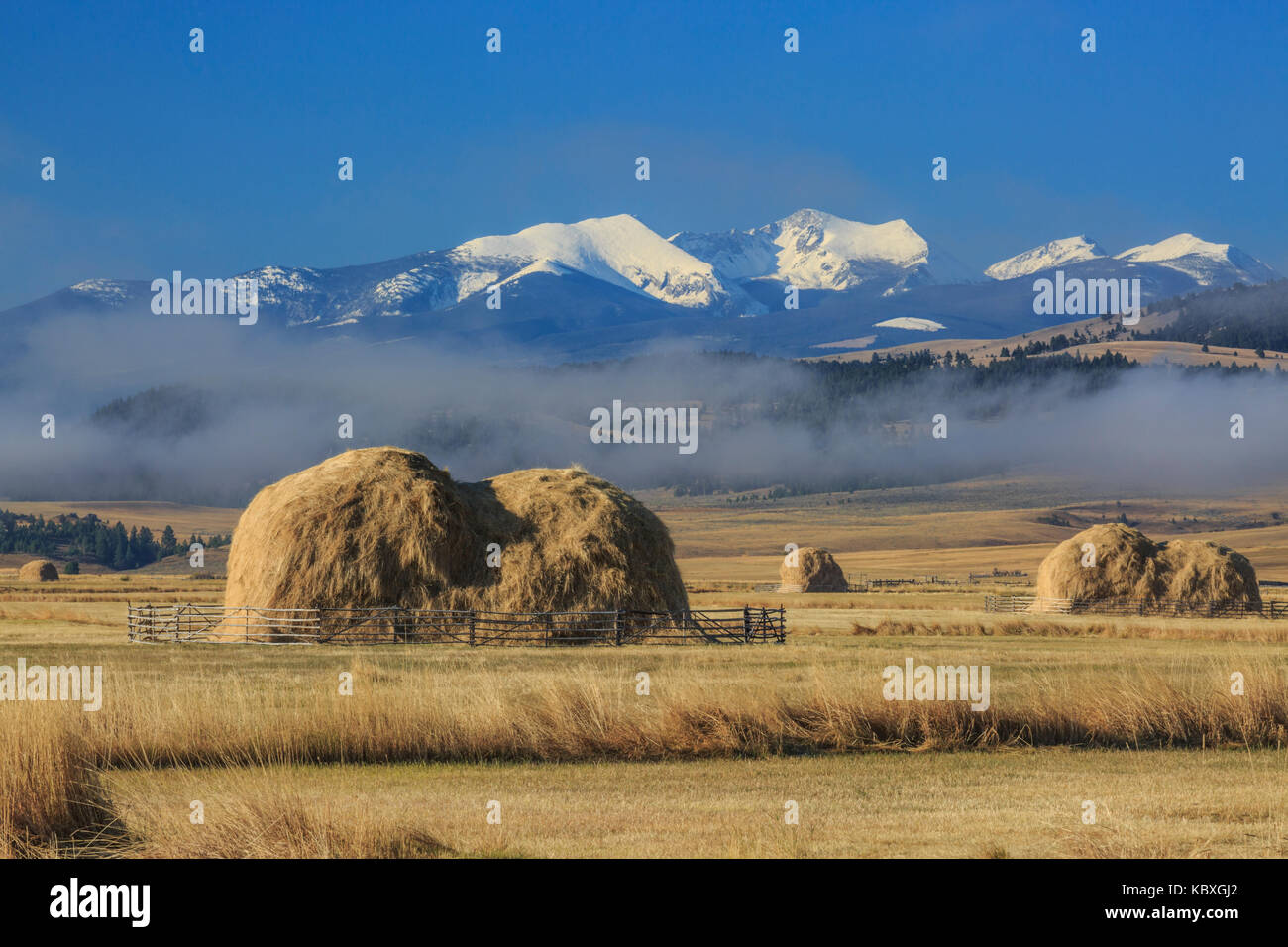 haystacks and morning fog below peaks of the flint creek range near ...