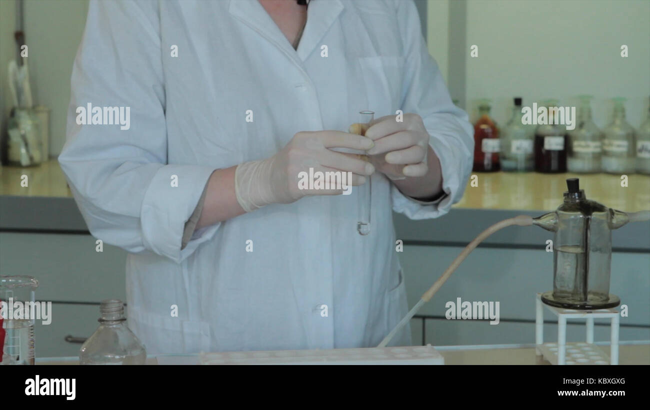 Scientist pouring chemicals in a laboratory. technician stirs flask with reagents. Technician ...