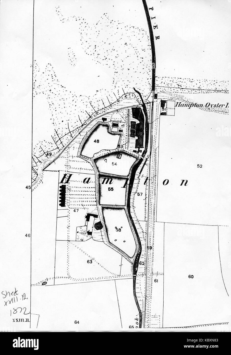 OS map Hampton 1872 004 Stock Photo - Alamy