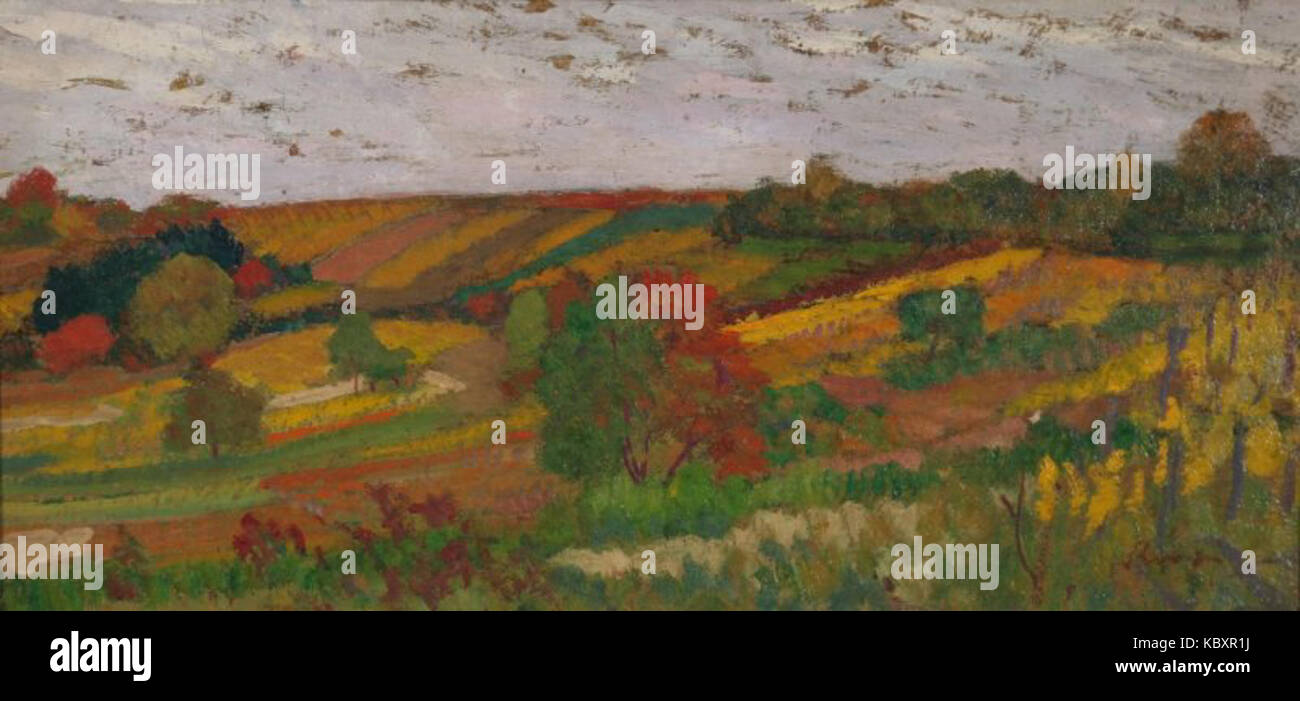 Somogy map hi-res stock photography and images - Alamy