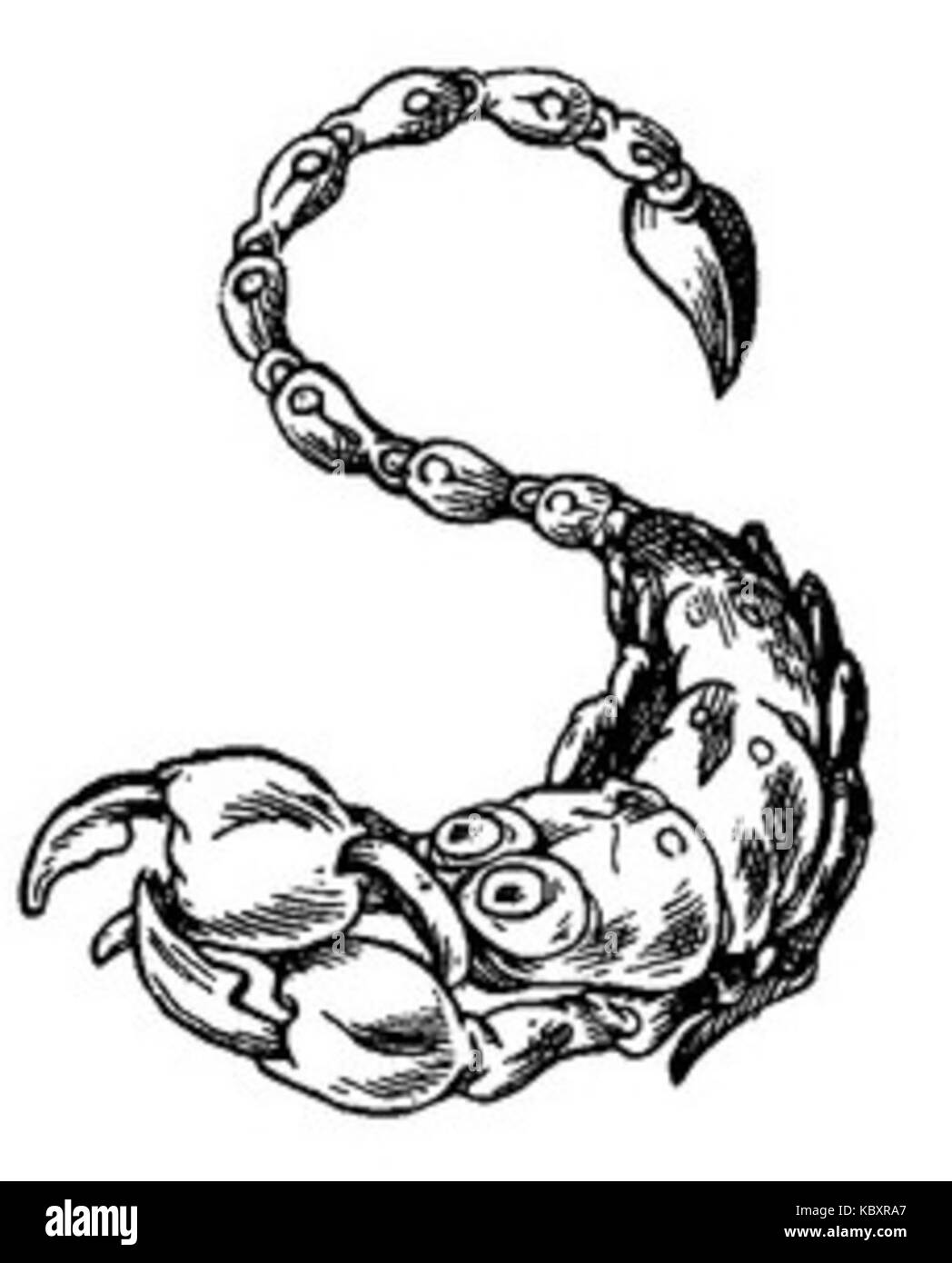 Graphic insect art Black and White Stock Photos & Images - Alamy