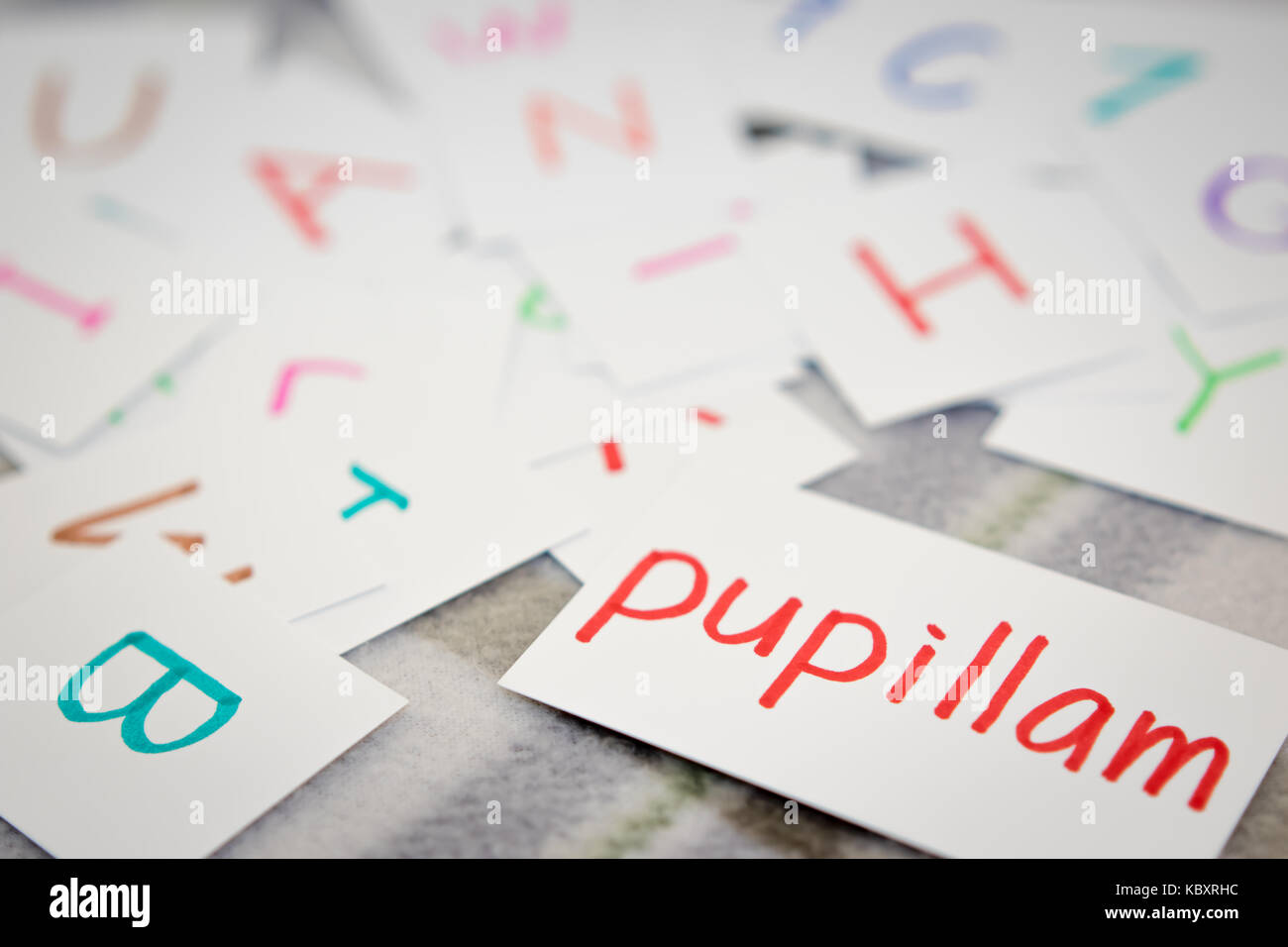 Latin; Learning the New Word with the Alphabet Cards (Translation ...