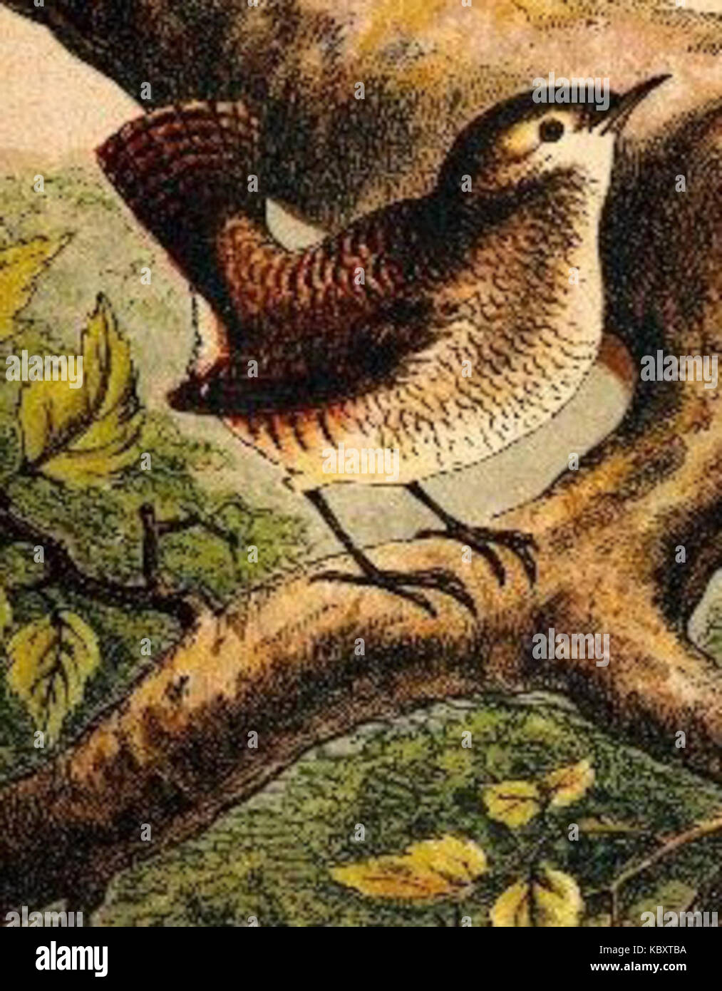 Christopher wren architecture hi-res stock photography and images - Alamy