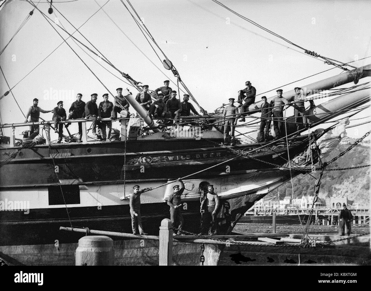 Wild Deer (ship, 1863) natlib.nz 236425 Stock Photo - Alamy
