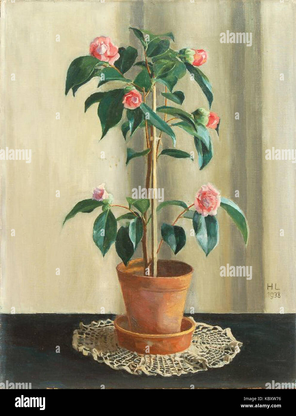 Hermann Lange Stilleben mit Kamelie Stock Photo - Alamy