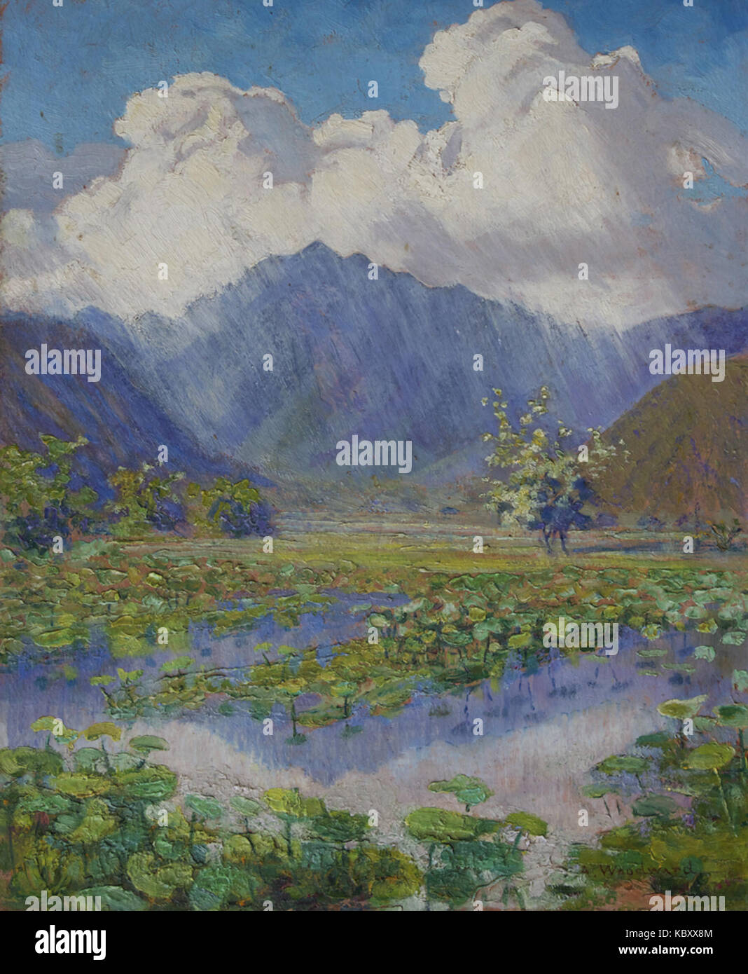 'A Shower in the Mountains, Manoa Valley' by Anna Woodward Stock Photo ...