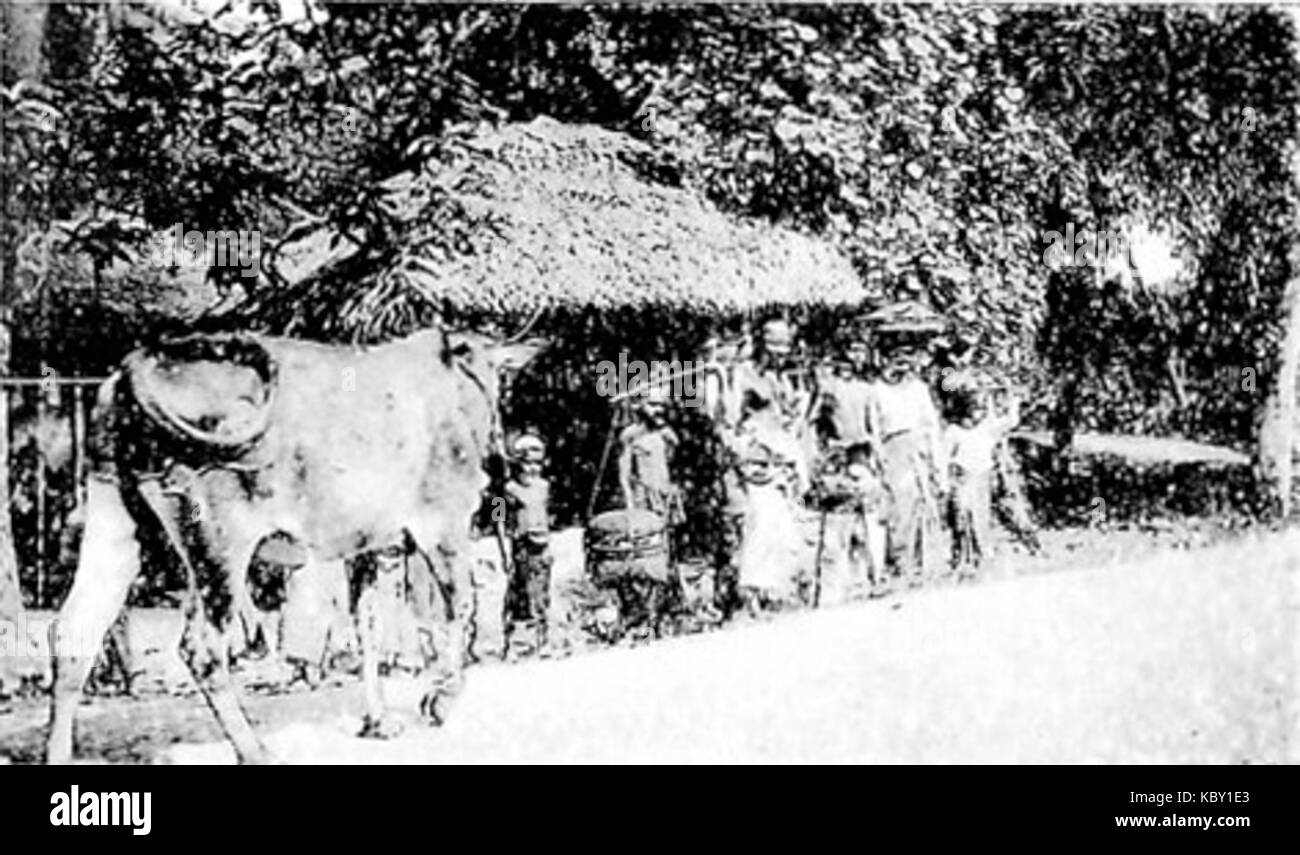 Mount lavinia sri lanka hi-res stock photography and images - Alamy