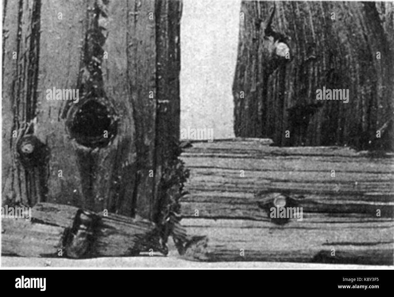 Pieces of wood Black and White Stock Photos & Images - Alamy