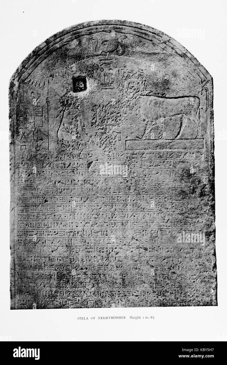 Stele Nectanebo II Apis Quibell Stock Photo - Alamy