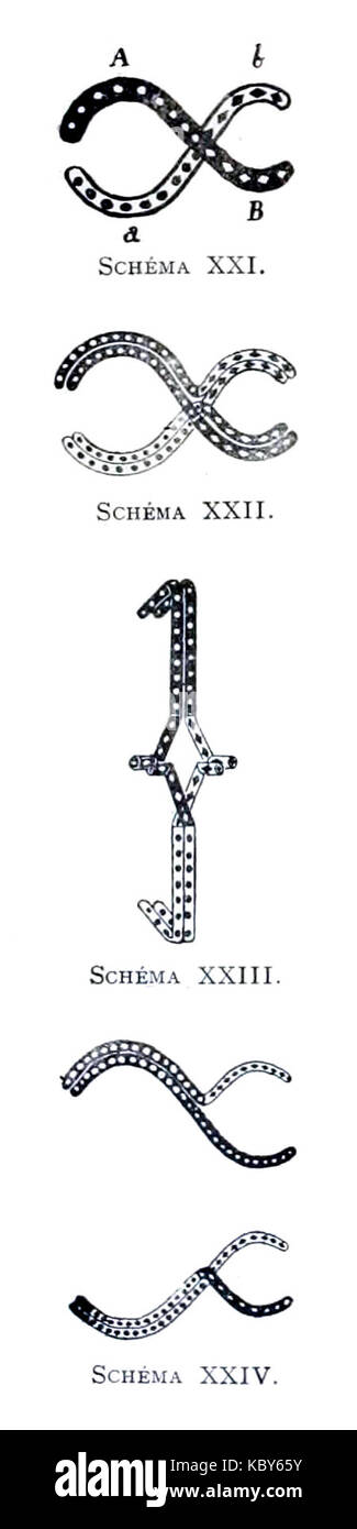 Inheritance patterns Cut Out Stock Images & Pictures - Alamy