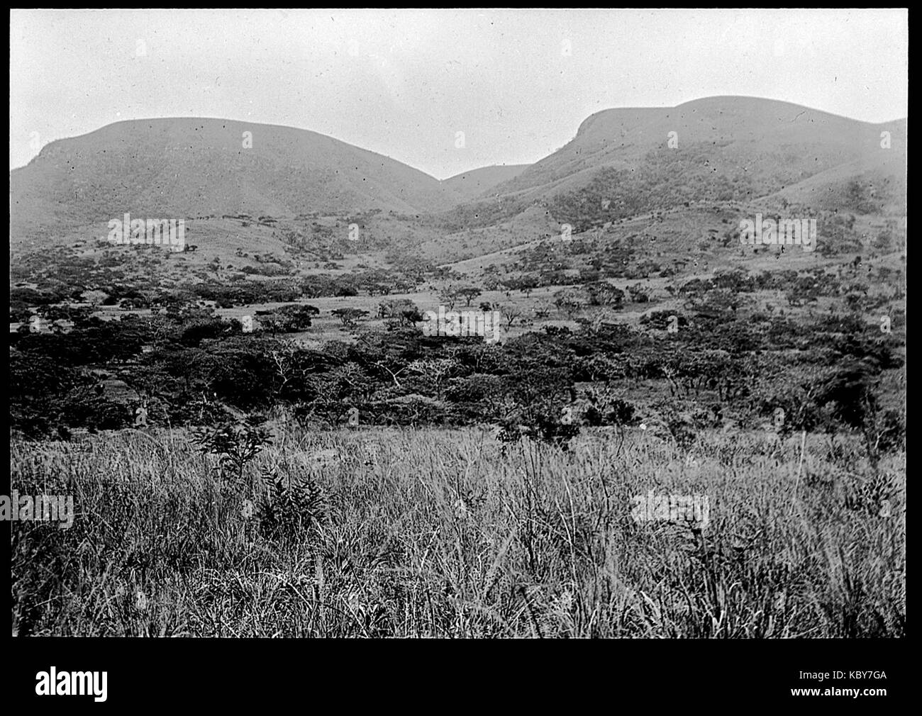 Wellcome collection Black and White Stock Photos & Images - Alamy