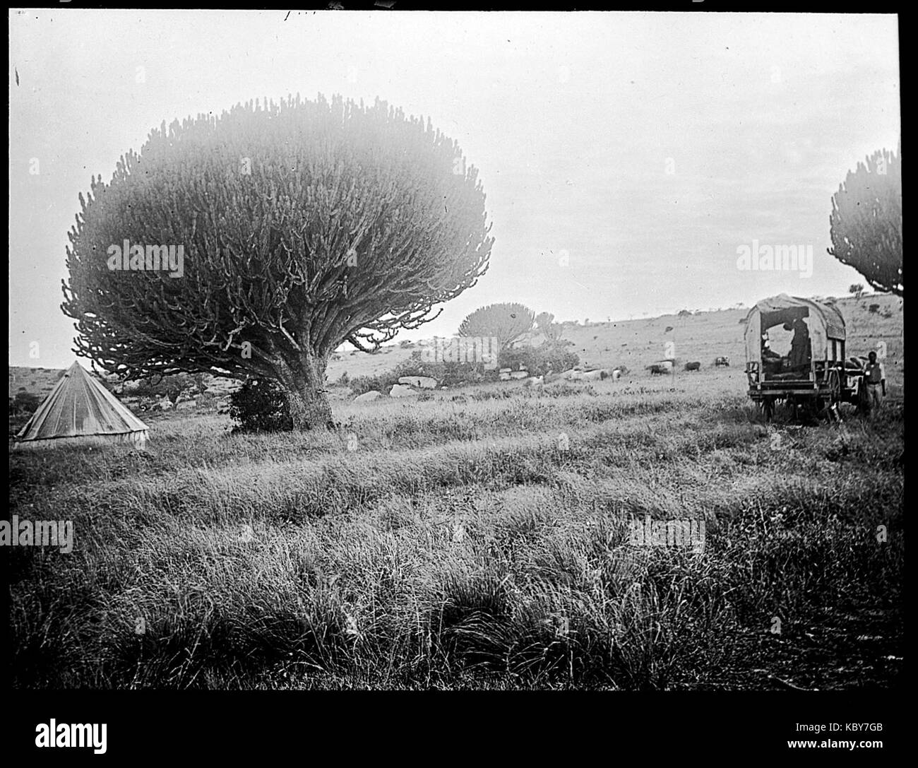Eshowe south africa Black and White Stock Photos & Images - Alamy