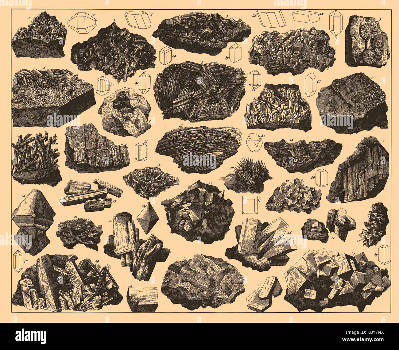 Various encyclopedic images hi-res stock photography and images - Alamy