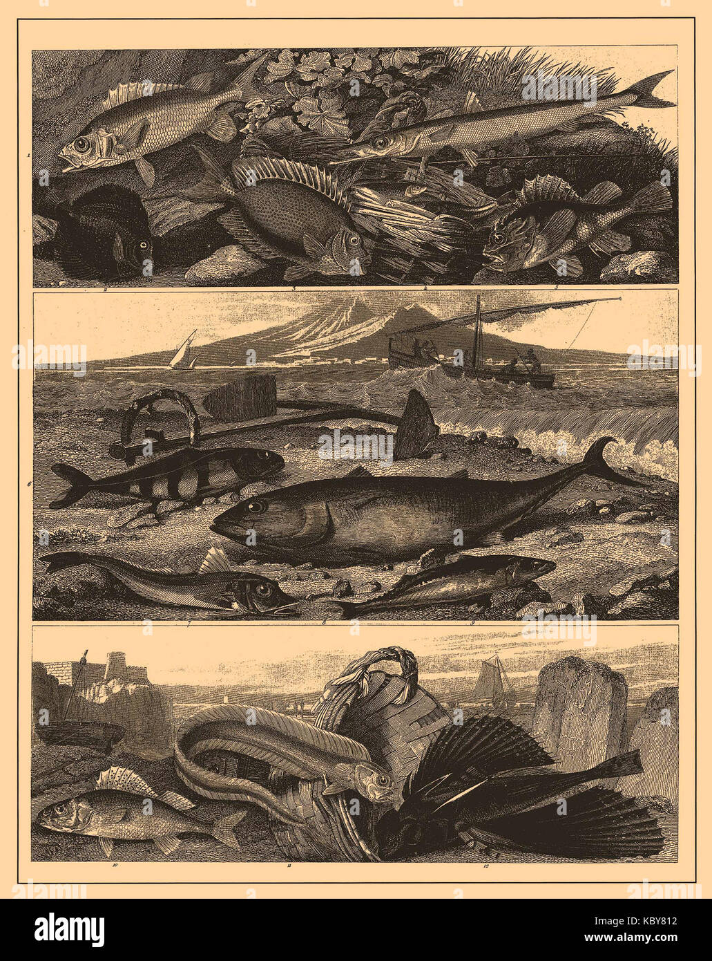 Iconographic drawing hi-res stock photography and images - Alamy