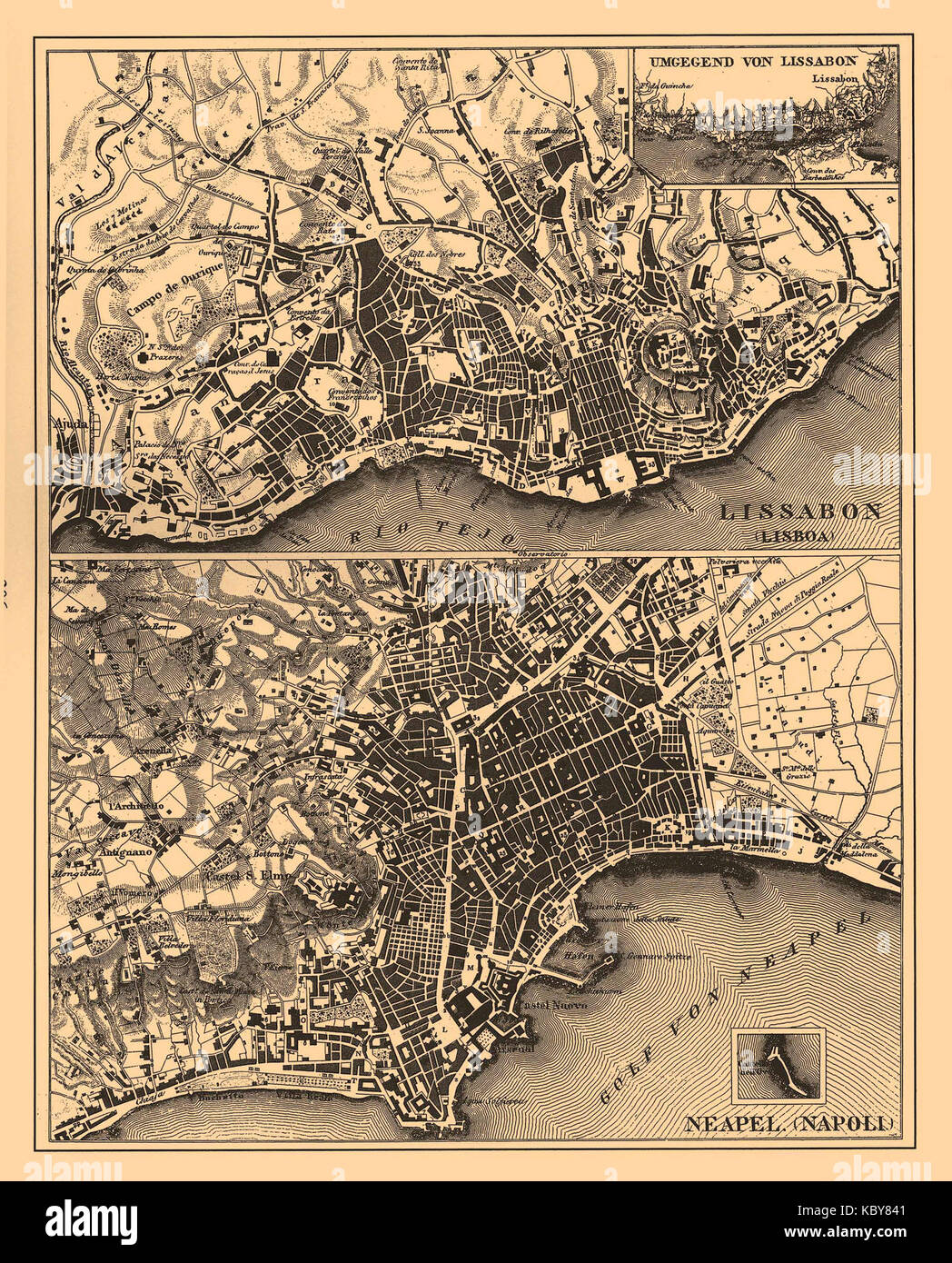 Iconographic Encyclopedia of Science, Literature and Art 206 Stock ...