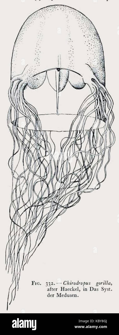 Vol03 hi-res stock photography and images - Alamy