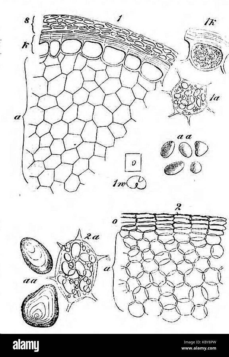 1800s rural scene Cut Out Stock Images & Pictures - Alamy